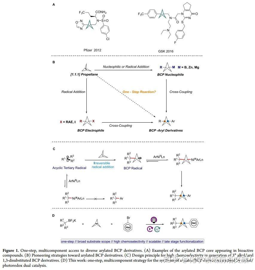 Molander组JACS：镍/光氧化还原双催化[1.1.1]螺桨烷的双碳官能化合成芳基化双环[1.1.1]戊烷 - 知乎
