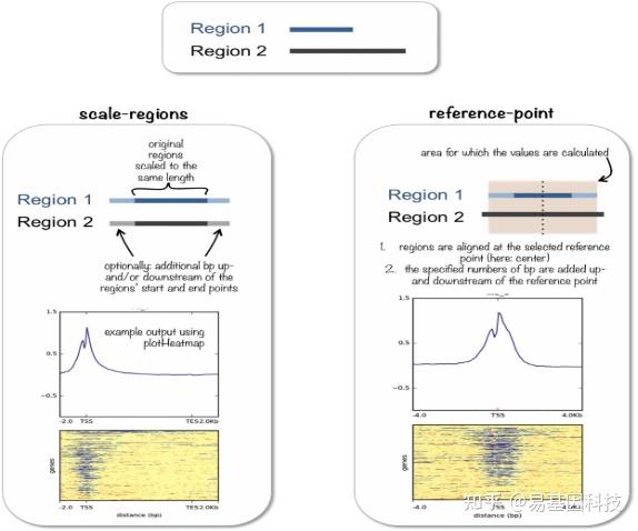 ChIP-seq应用领域、研究思路、数据挖掘、下游实验、实验关键 | 易讲堂 - 知乎