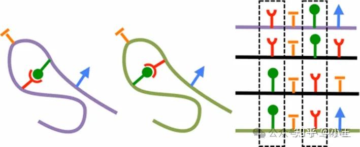 AlphaFold1简介：来自2024年的回顾 - 知乎