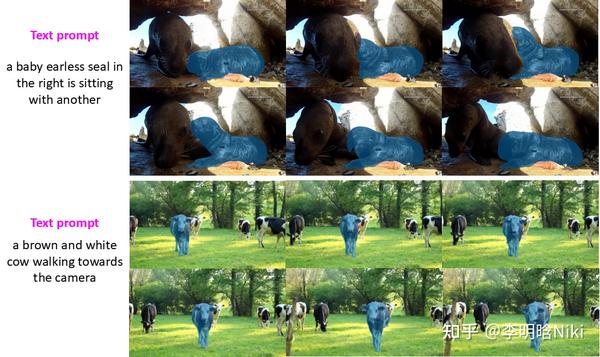 CVPR2024｜UniVS：统一且通用的视频分割大模型 - 知乎