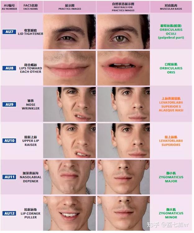 FACS-Facial Action Coding System 面部表情编码系统 各AU(Action Unit)说明 - 知乎