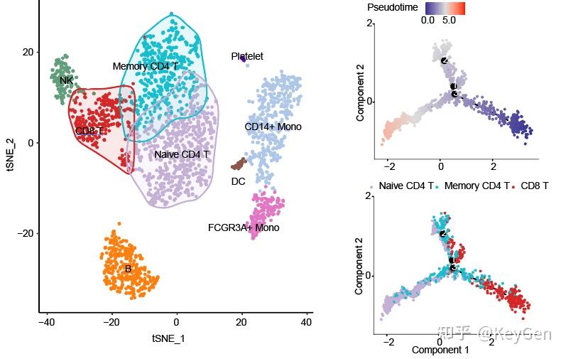 单细胞萌新关于monocle2的问题? - 知乎
