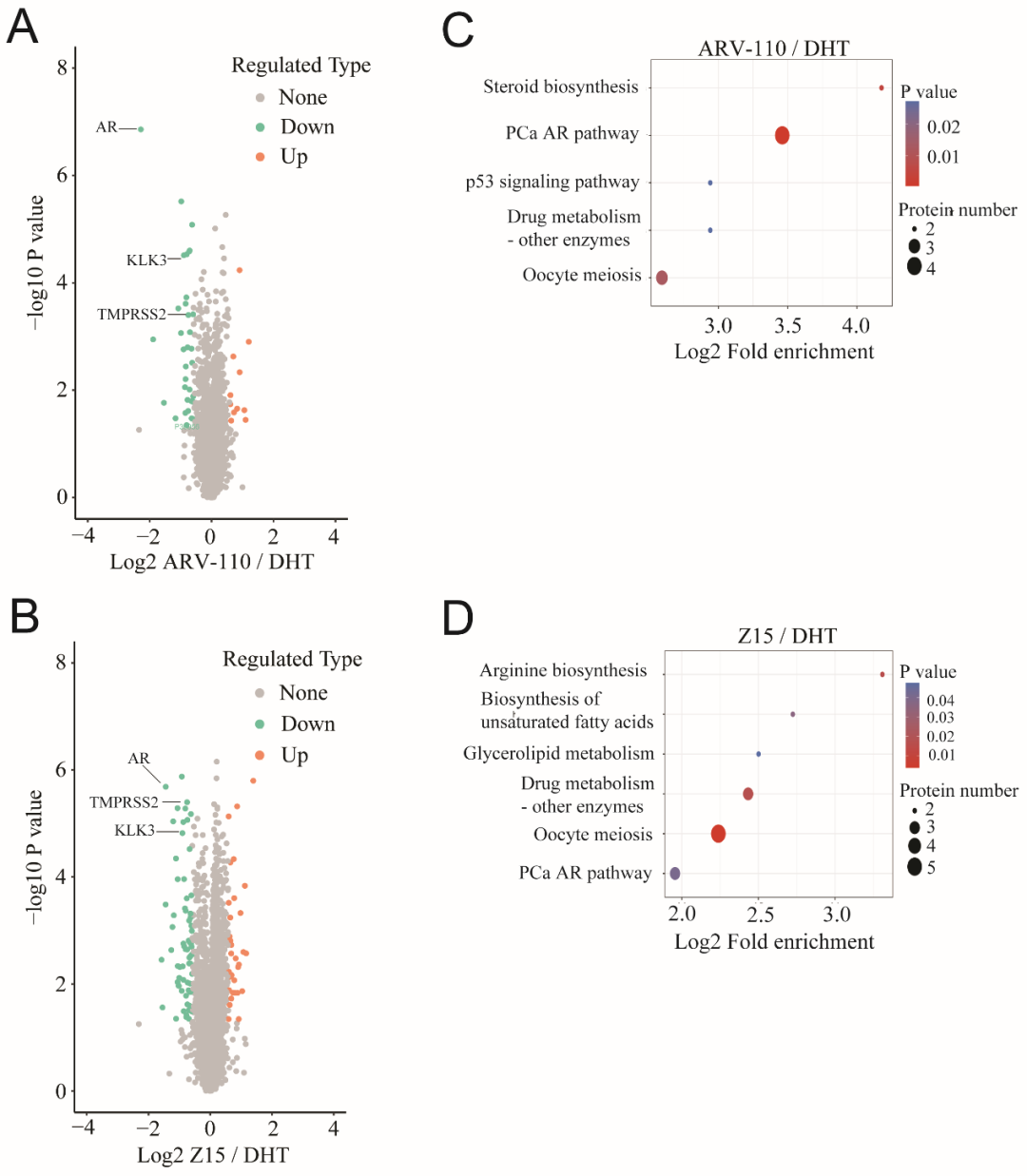 eLife︱周金明团队等发现一类新型选择性雄激素受体降解剂 - 知乎