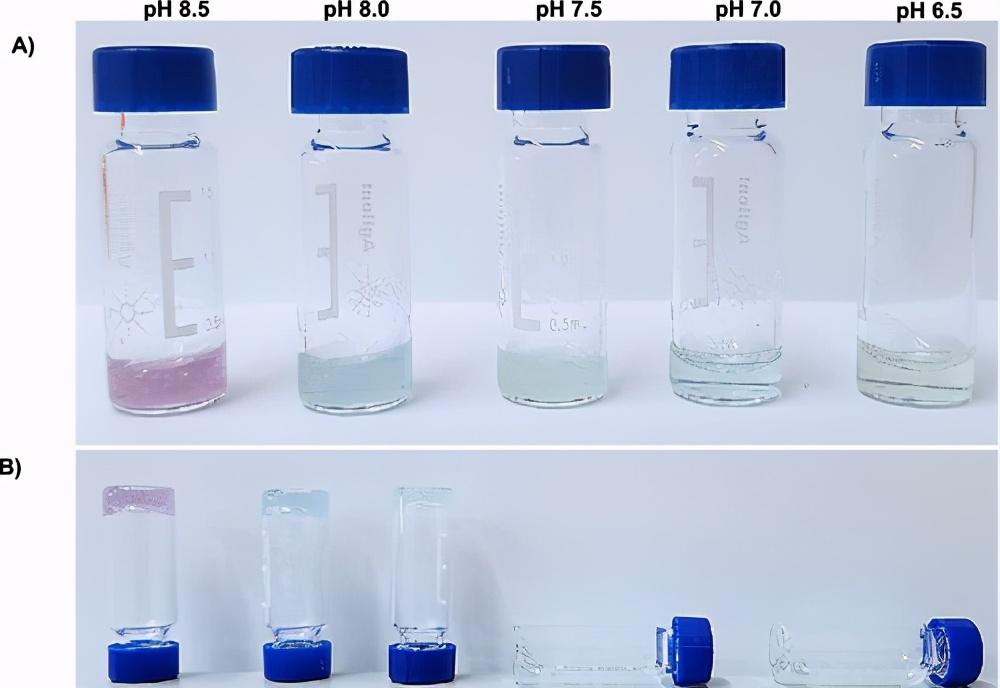 《Biomacromolecules》硫醇-硫酯交换反应使pH引发的水凝胶形成 - 知乎