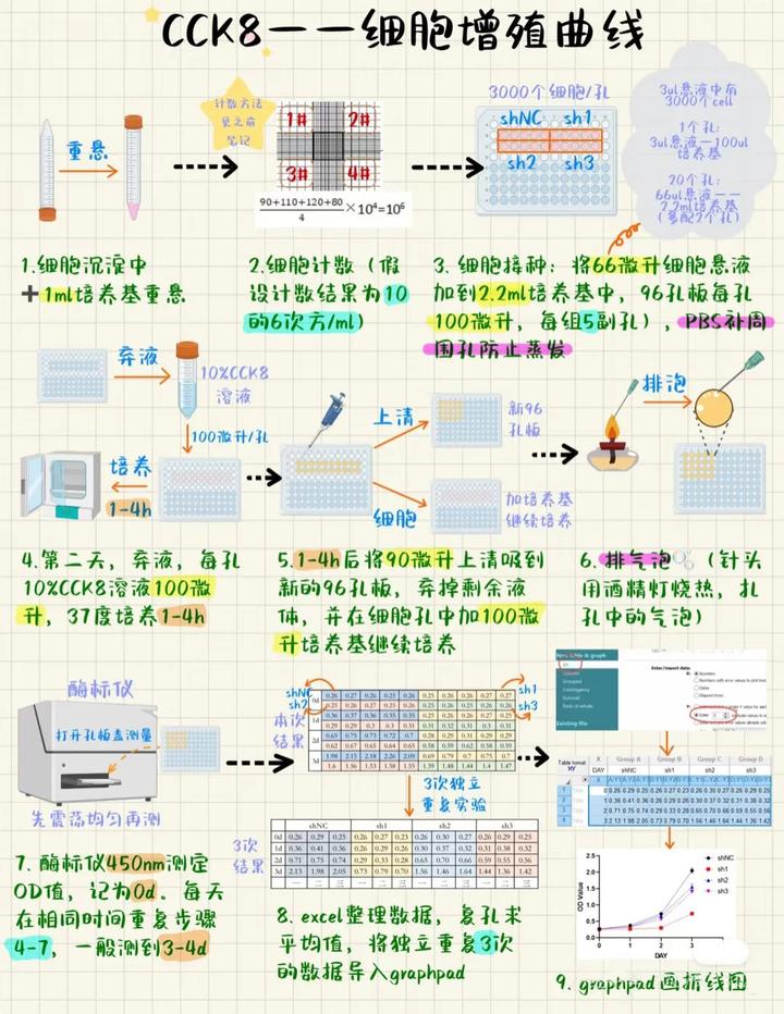 CCK8——细胞增殖曲线 - 知乎