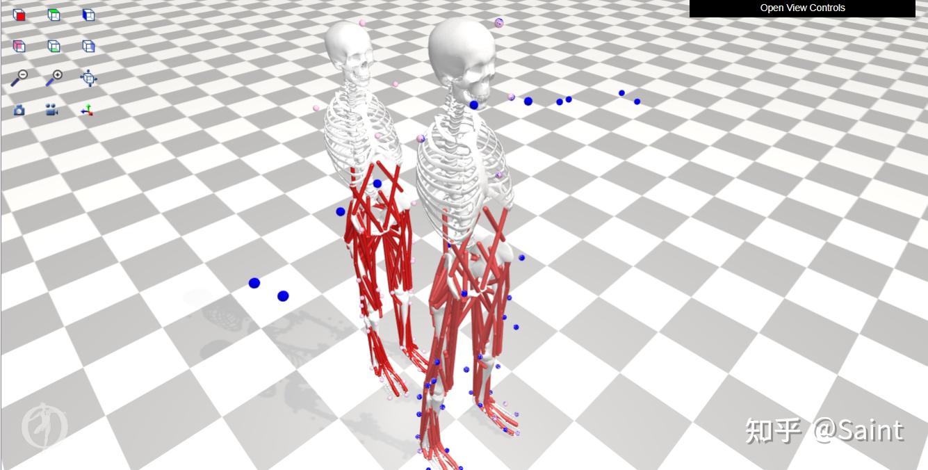 如何在OpenSim中建立一个新的人体模型？ - 知乎
