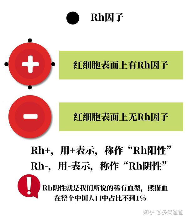 ABO血型，Rh血型？它们有什么区别？对我们重要吗？ - 知乎