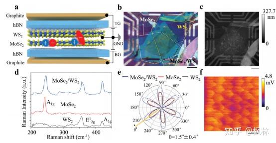 MoSe2/WS2摩尔异质结构中杂化激子寿命的控制 - 知乎