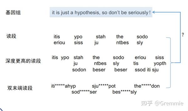 基因组装的概念/算法(OLC,K-mer)详解 - 知乎