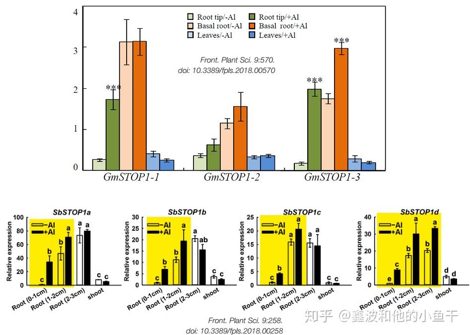 抗酸性土壤铝毒害的关键转录因子——STOP1 - 知乎