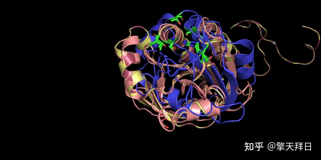 同源建模预测蛋白质三维结构（SWISS-MODEL+Pymol零基础教程） - 知乎