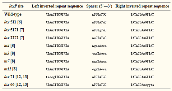 Cre-lox系统介绍及使用汇总 - 知乎