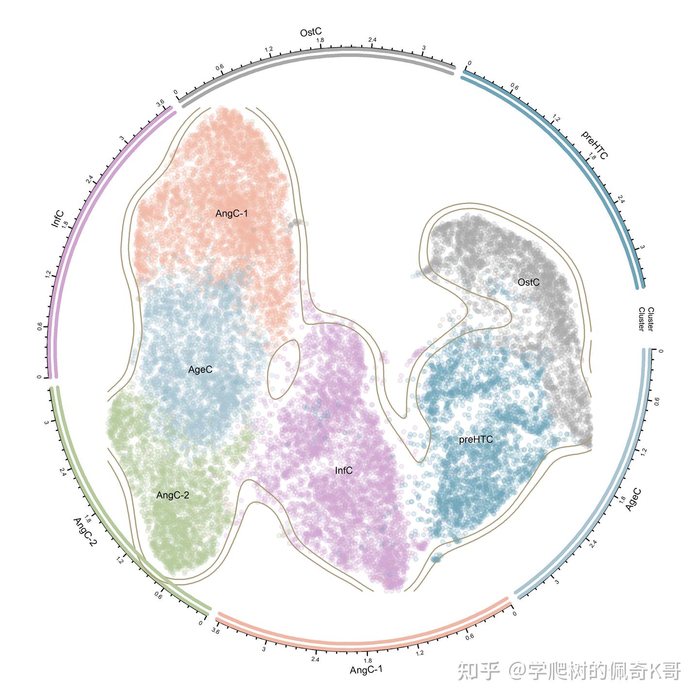 重生之我用单细胞发顶刊系列1：如何绘制Circle-UMAP ？ - 知乎