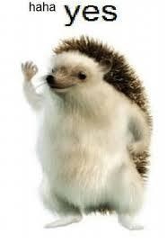 MATLAB编程计算圆周率 - 知乎