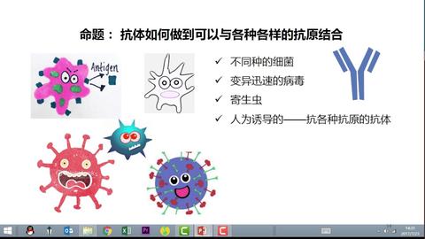 Single-Chain Fragment Variable (ScFv) - 知乎