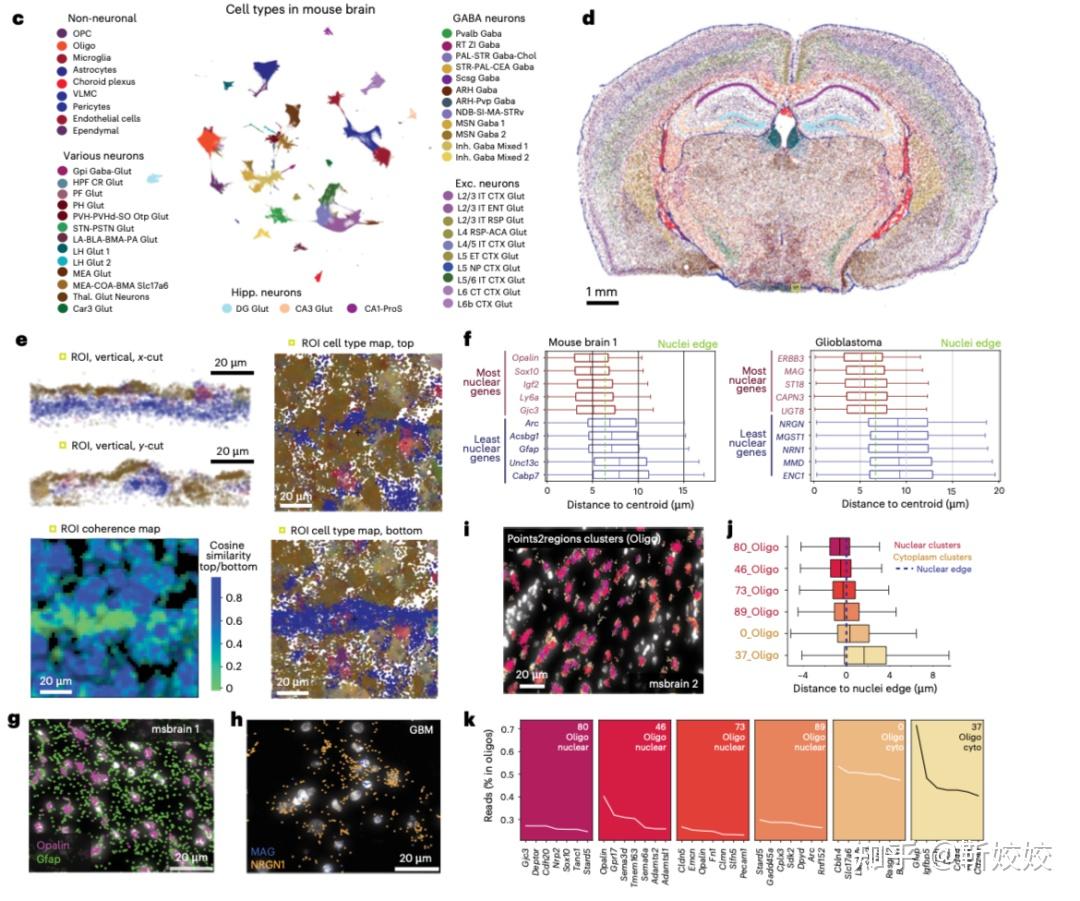 最近Xenium技术有点火？看看这篇《Nature Methods》怎么说！ - 知乎