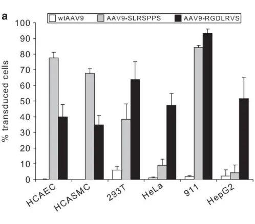 【科研实用宝典】AAV在血管内皮细胞中的应用 - 知乎