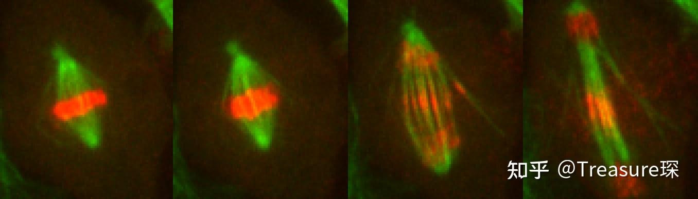 ImageJ实用教程——Depth-Color Code(插件篇) - 知乎