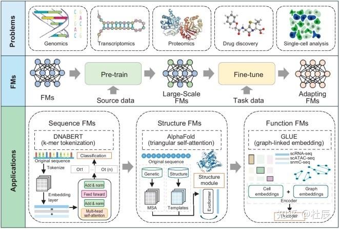 生物大模型盘点 | 生物学中的基础模型有哪些？看这一篇就够了！ - 知乎