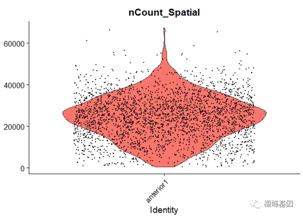 SCS【21】单细胞空间转录组可视化 (Seurat V5) - 知乎