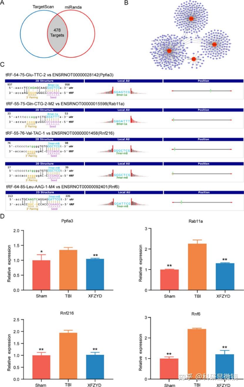 不会吧！还不知道tsRNA测序也能预测中药治疗疾病的靶点？一文带你了解一下 - 知乎