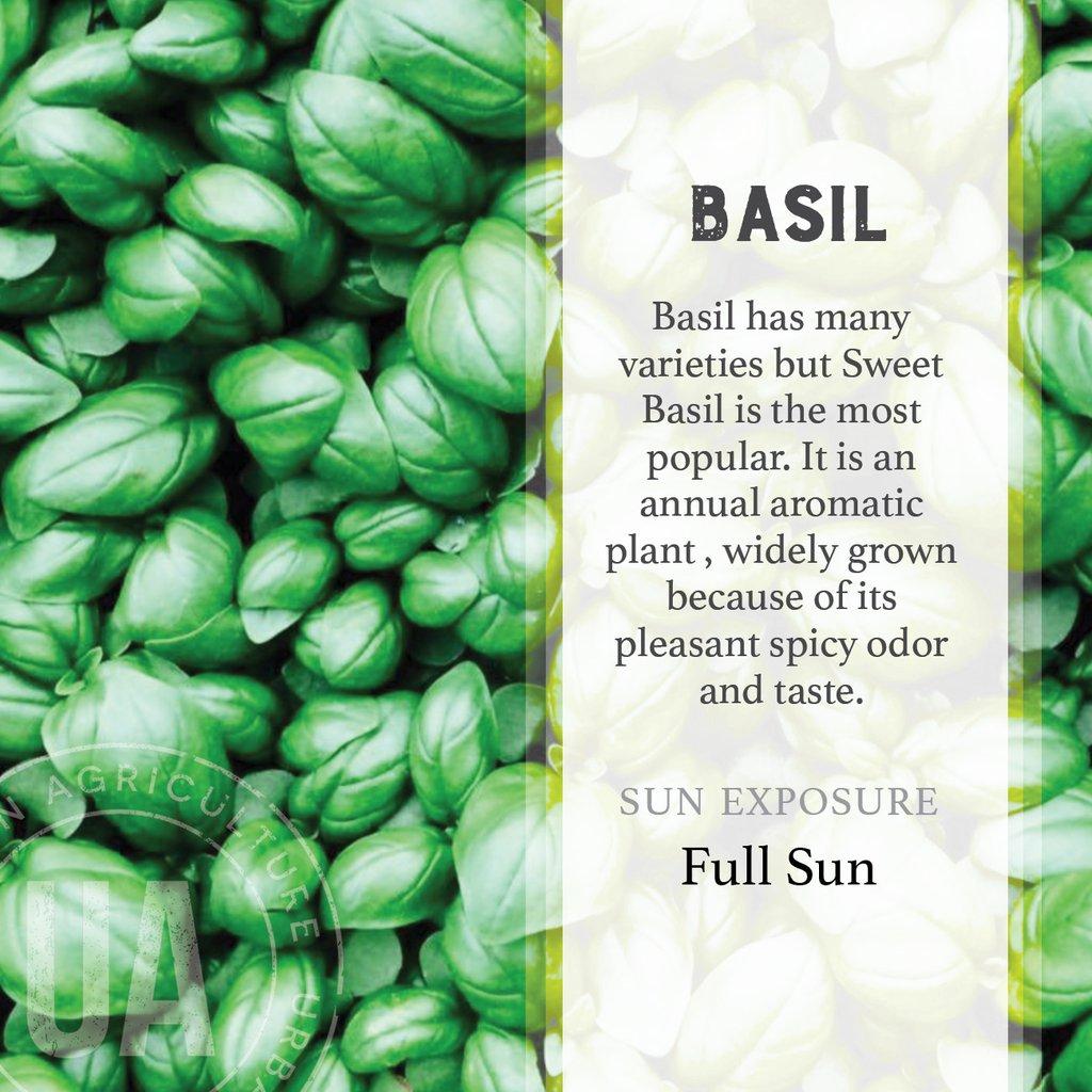 意大利面为什么煮了二十分钟还不软？ - 知乎