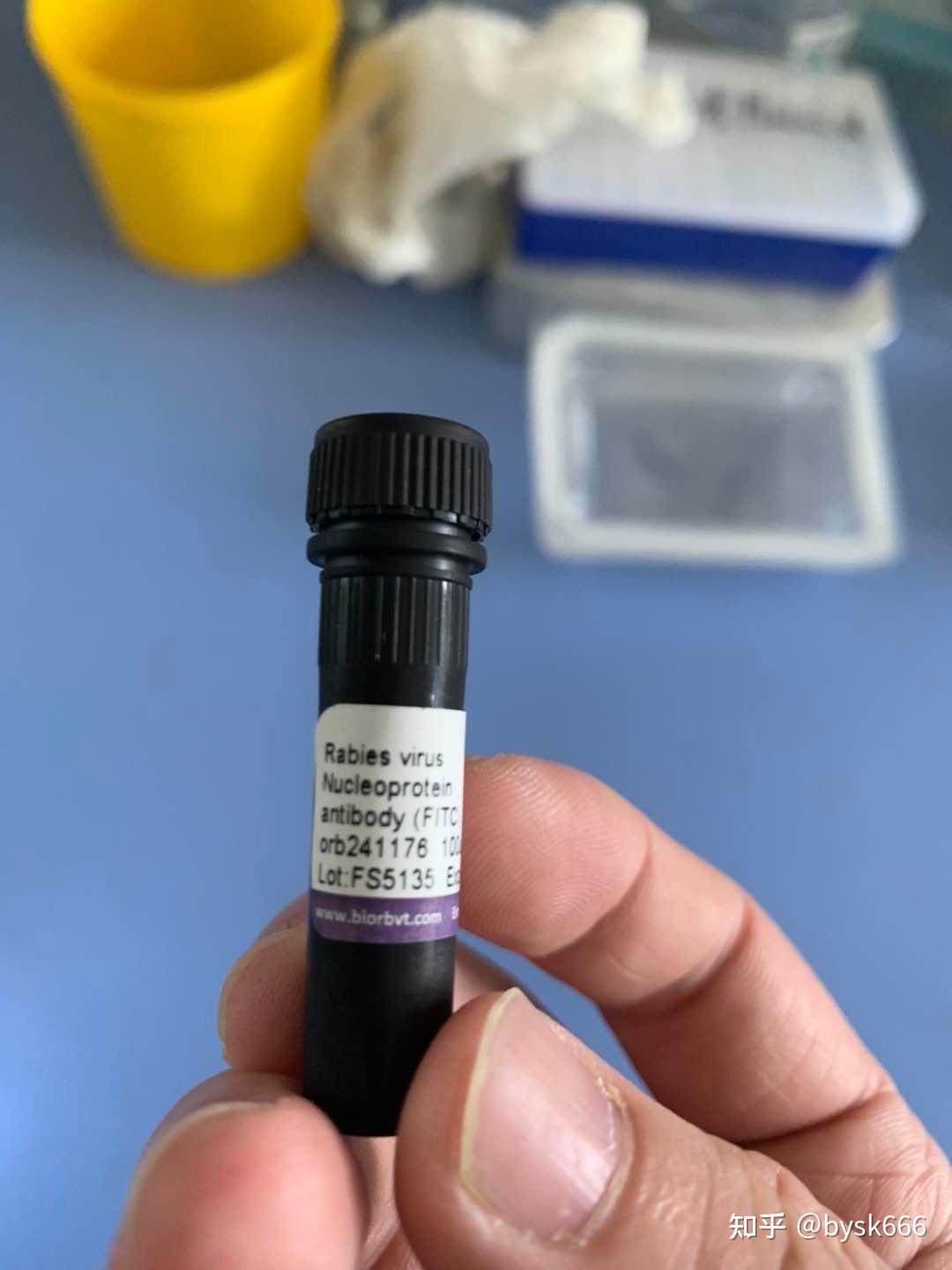 【干货分享】狂犬实验RFFIT操作程序 - 知乎