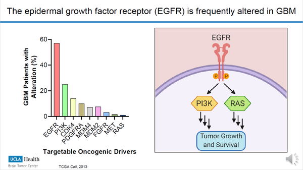 脑穿透EGFRi, 两个case study - 知乎