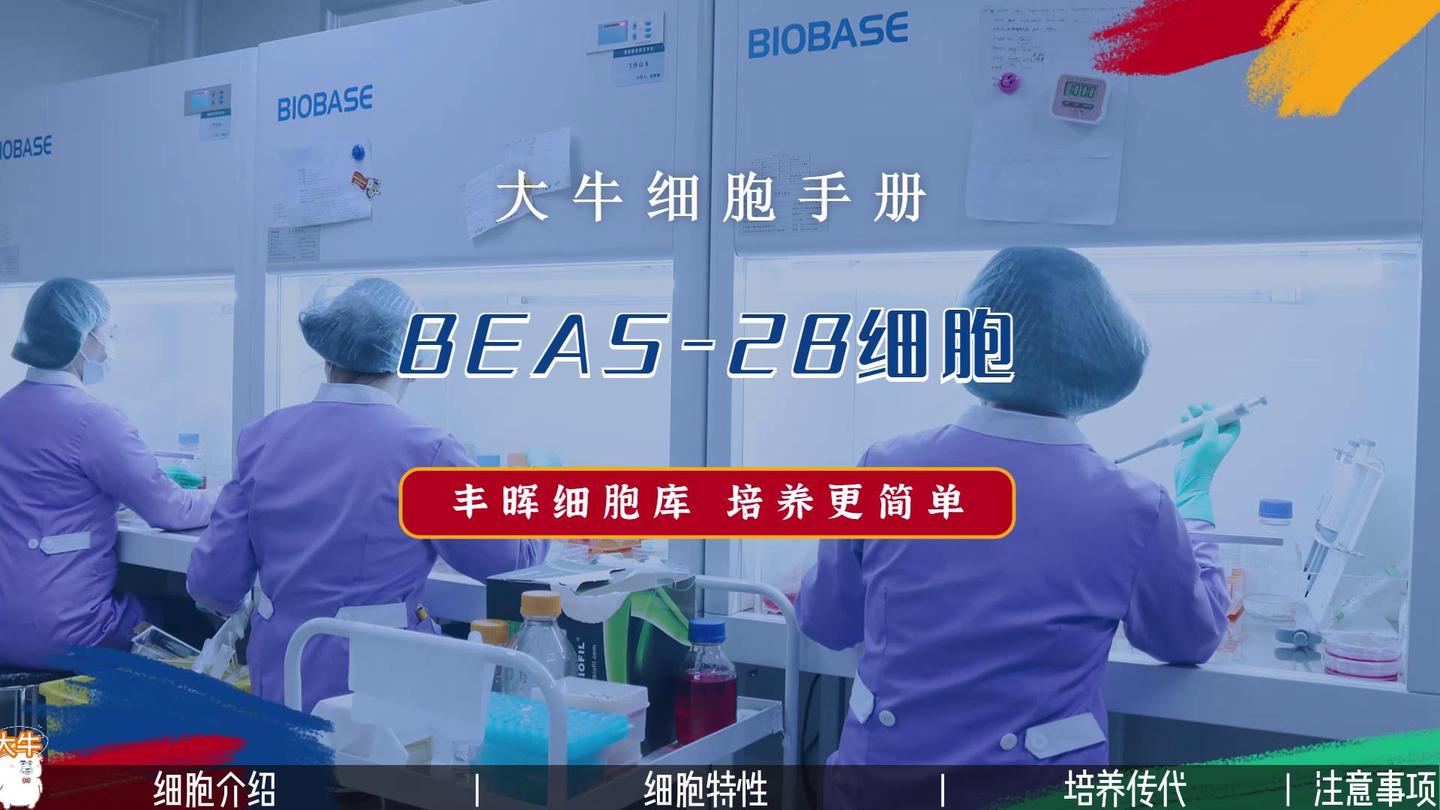 BEAS-2B细胞培养，人支气管上皮细胞培养攻略 - 知乎