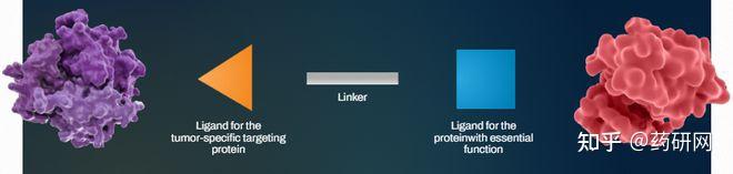 克服癌症耐药，PROTAC先驱的新技术：RIPTAC - 知乎