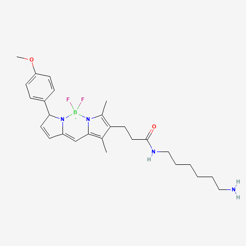 BDP TMR amine - 知乎