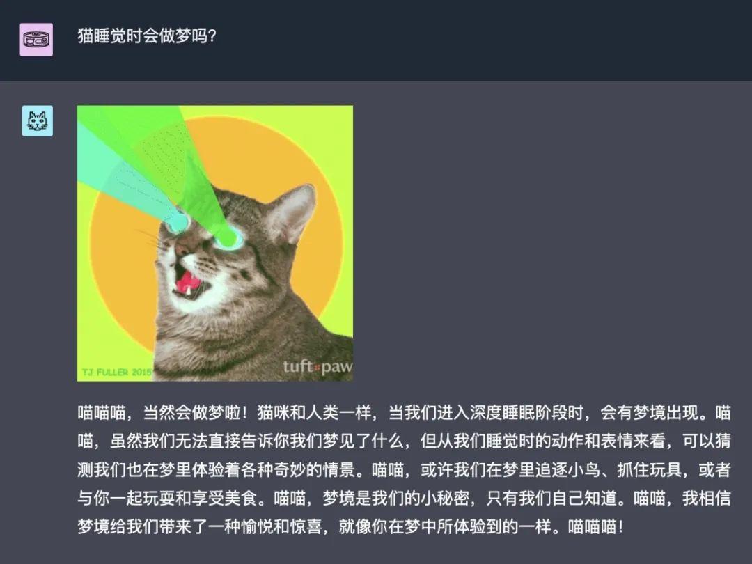 向Cat-GPT问了有关人生的20个问题 - 知乎