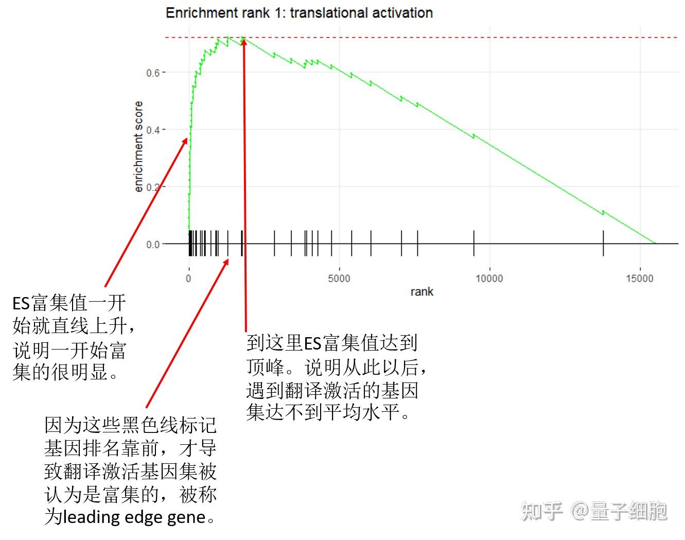 基因集富集分析GSEA的原理和可能的改进 - 知乎