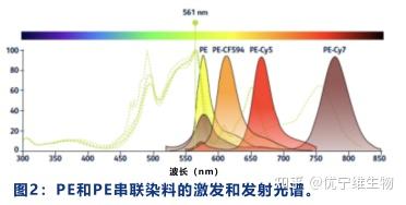 新鲜出炉~BD Horizon RealYellow TM 586光谱优化激光特异性荧光染料！ - 知乎
