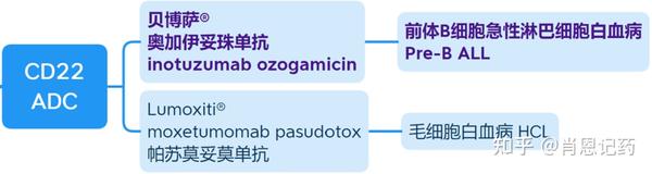 记住所有FDA生物药 | 靶向CD22 ADC | 贝博萨®奥加伊妥珠单抗、moxetumomab pasudotox - 知乎