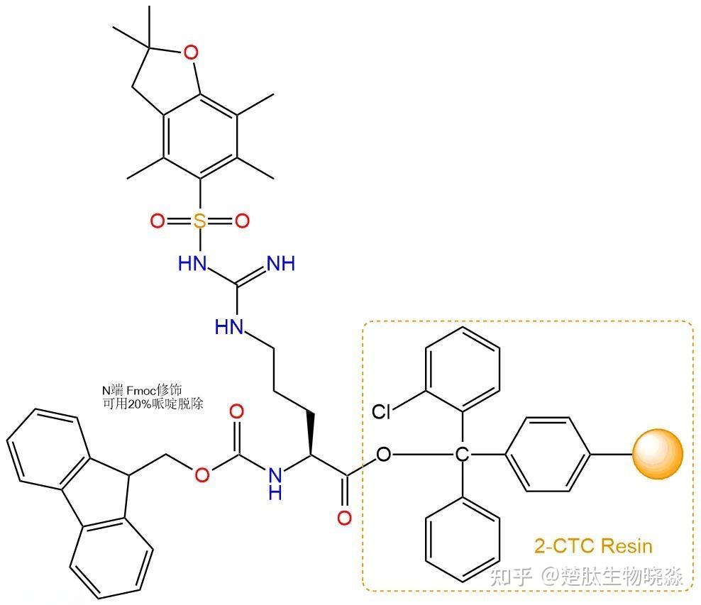 多肽合成，Helospectin I ，His-Ser-Asp-Leu-Leu-Ala-Lys-Leu-Ala-Leu-Gln-Lys-Tyr ...