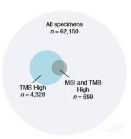 #小普课堂三十六#肿瘤突变负荷(Tumor Mutation Burden，TMB) - 知乎
