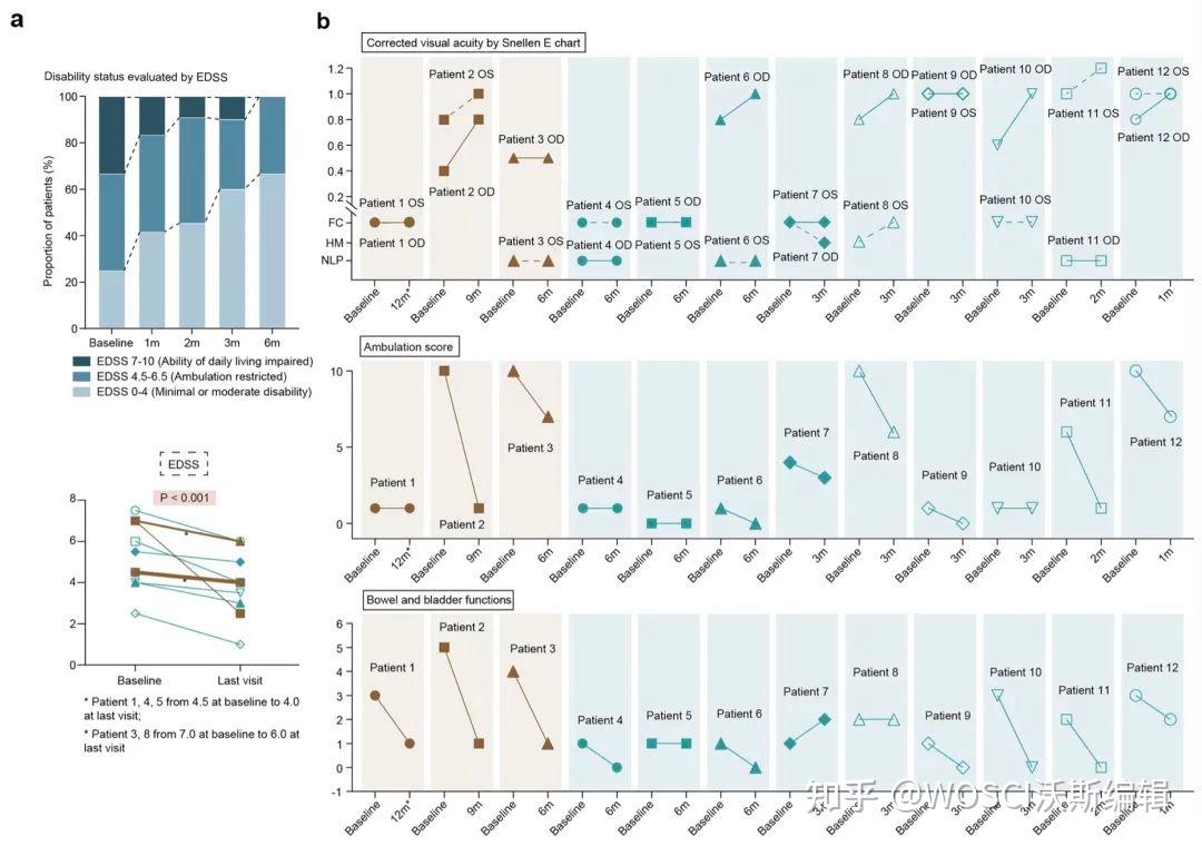 STTT | 华中科技大学证明CAR-T细胞疗法能够安全有效治疗复发或难治性视神经脊髓炎谱系障碍 - 知乎