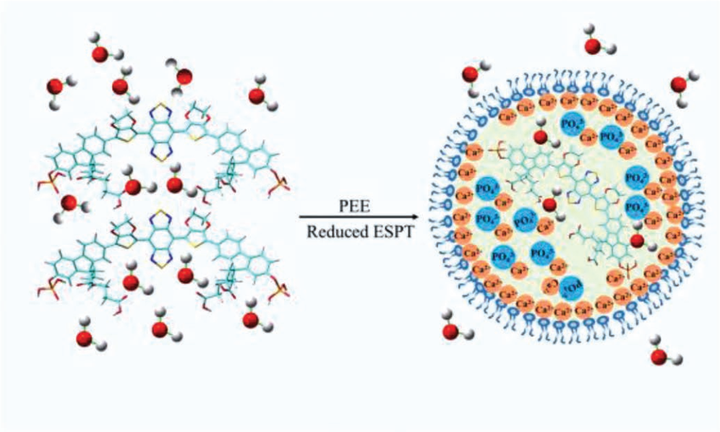 纳米探针 | PEE策略提高NIR-II荧光团亮度和减少NIR-II荧光团的肝脏保留率 - 知乎