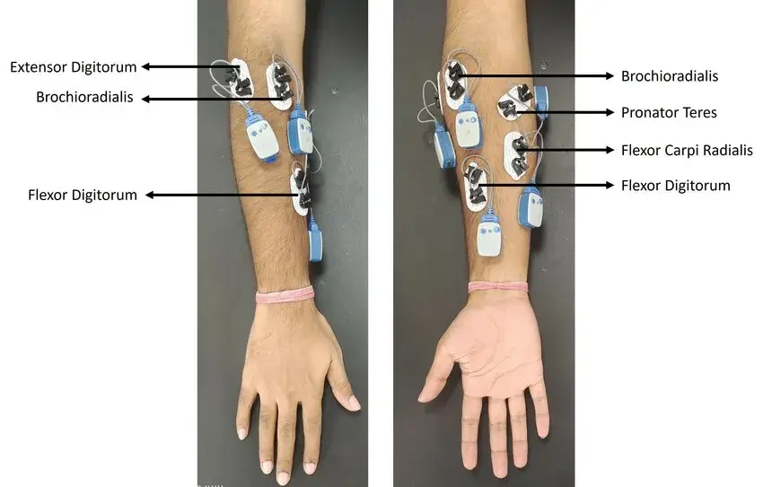 Nature顶刊发布，一文看懂Meta新技术“肌电手环sEMG” - 知乎