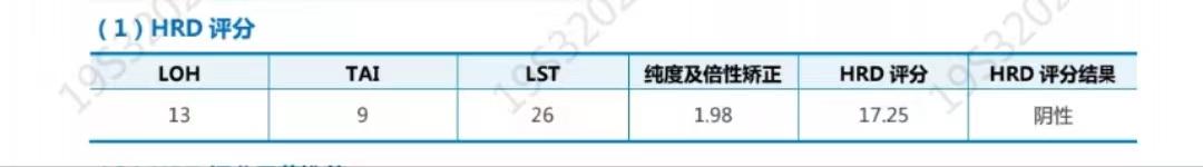 卵巢癌基因检测之HRD检测 - 知乎