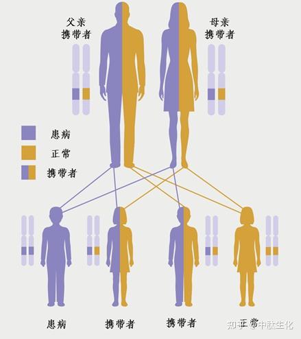 第一个接受商业化Libmeldy基因疗法的孩子，已无遗传病症状 - 知乎