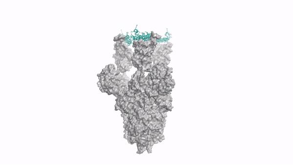 范式再颠覆 | RF Diffusion最强扩散式蛋白设计模型 - 知乎