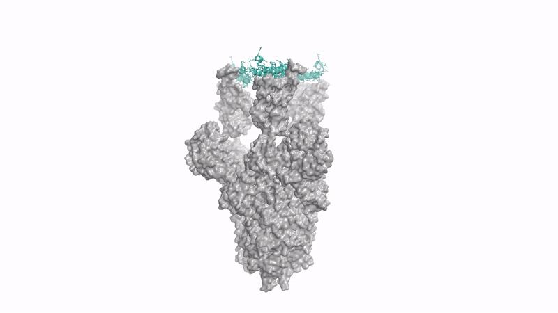 范式再颠覆 | RF Diffusion最强扩散式蛋白设计模型 - 知乎