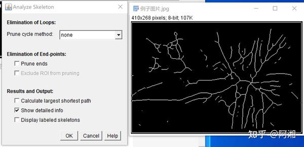ImageJ分析细胞形态 - 知乎