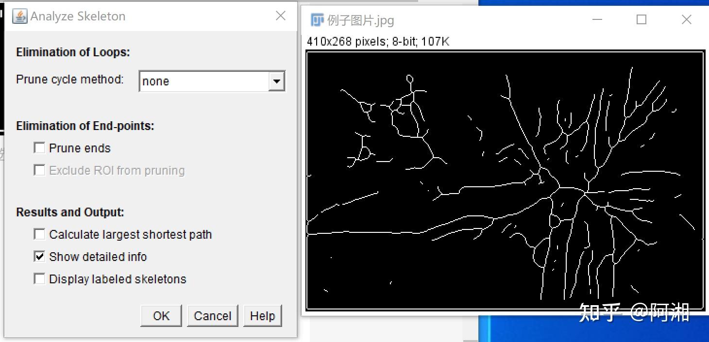 ImageJ分析细胞形态 - 知乎
