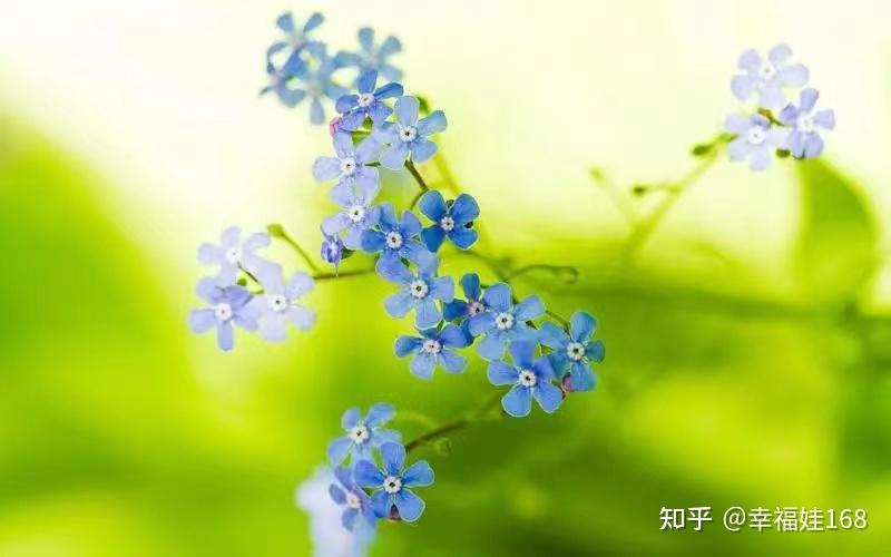 能拍就拍,能照就照,十年后再好的相机,也拍不出如今这般模样 知乎
