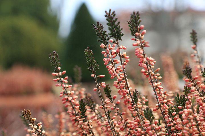 2022Fall英美港新名校offer/rej信息汇总（截止到2022.4.8带Timeline） - 知乎