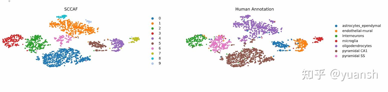 (单细胞-SingleCell）单细胞SCCAF自动化聚类 - 知乎