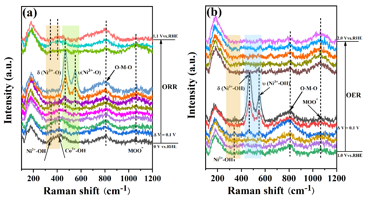 湖北师范大学Nano Energy：高密度CoNi-CoN4 活性位点嵌入的多级孔碳作为ORR与OER双功能催化剂用于柔性锌空气电池 - 知乎